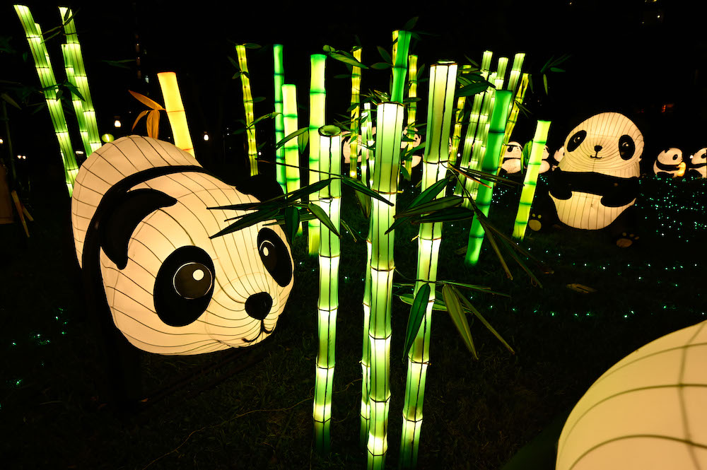 9 _DSC0126 - Community Programmes Office